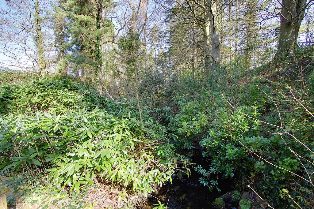 Underley Lodge, Kirkby Lonsdale - Davis & Bowring